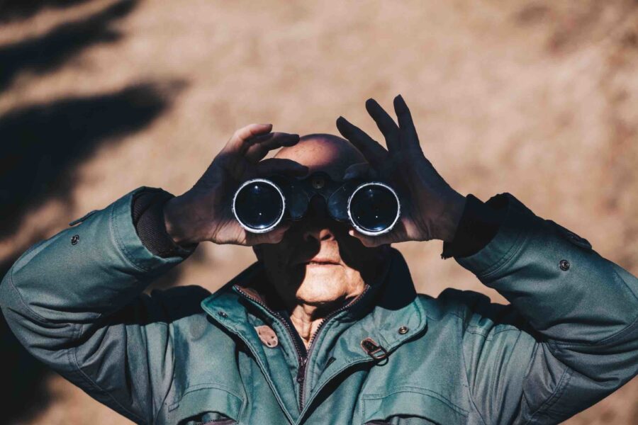 Tools zum Herausfinden des installiertes WordPress Theme ELSEN MEDIA